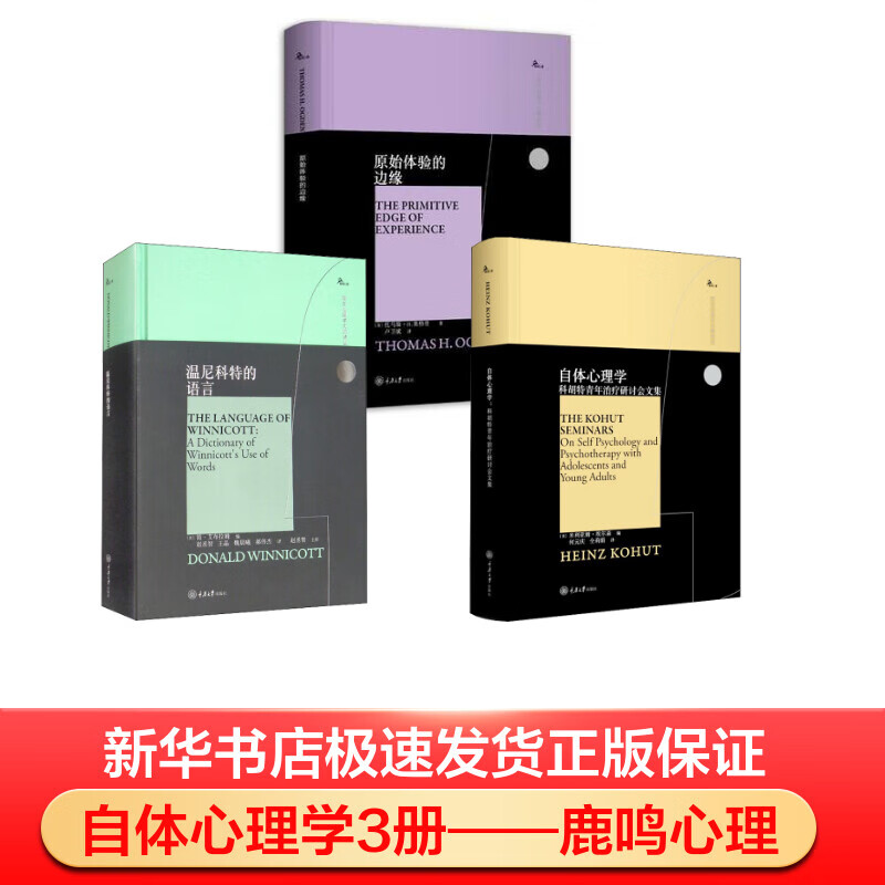 自体心理学 3册 自体心理学+温尼科特的语言+原始体验的边缘 图书