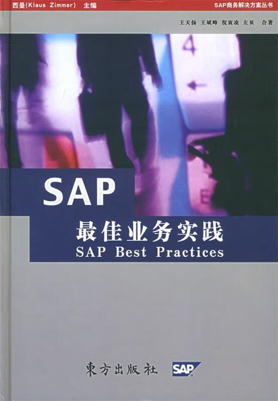 SAP佳业务实践 王天扬 等著【书】