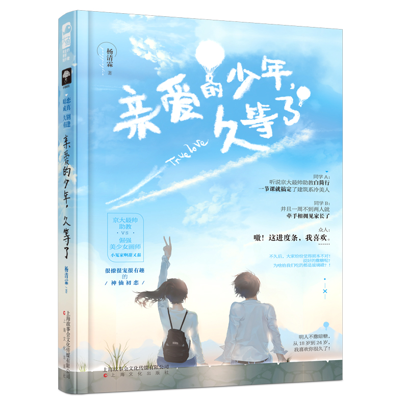 长篇小说：亲爱的少年久等了 9787553517421