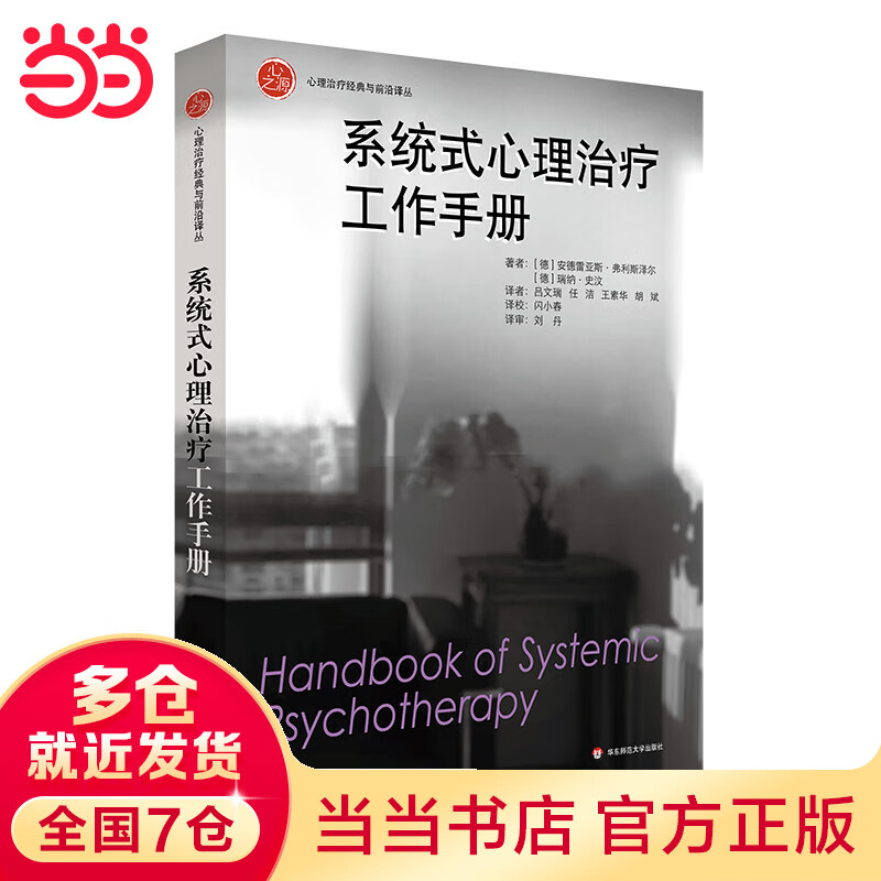 系统式心理治疗工作（心理治疗经典与前沿译丛）