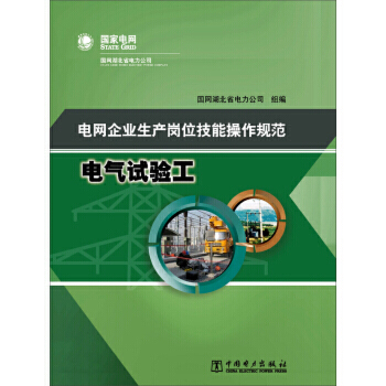 电网企业生产岗位技能操作规范 电气试验工