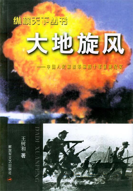 纵横天下丛书 王树和 著