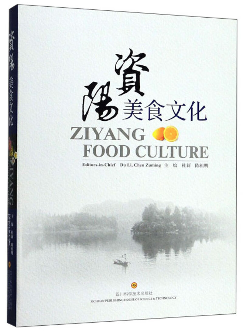 资阳美食文化 书籍