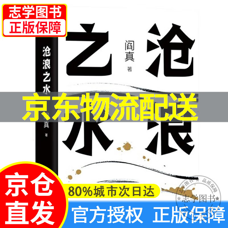 阎真：沧浪之水 职场小白考公人的启蒙之书籍 经典当代爱情小说 官场小说 同名高分国剧岁月原著 入围茅盾文学奖 阎真：沧浪之水