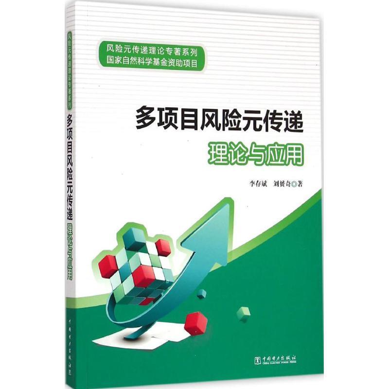 多项目风险元传递理论与应用