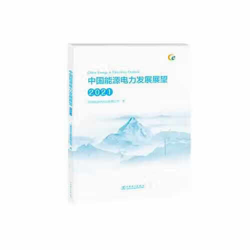 中国能源电力发展展望 2021 国网能源研究院有限公司 中国电力出版社 9787519862244