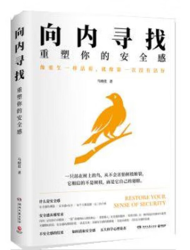 向内寻找：重塑你的安全感