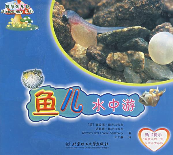 鱼儿水中游