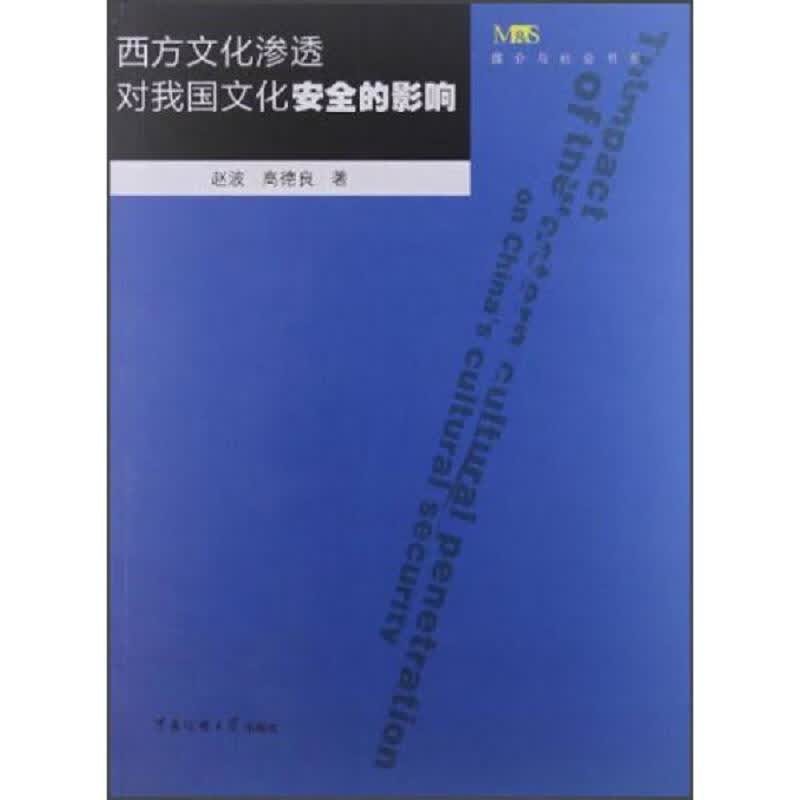 媒介与社会丛书：西方文化渗透对我国文化安全的影响