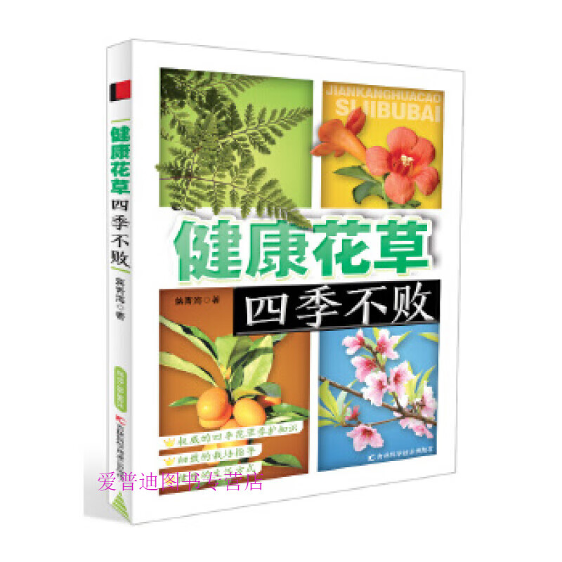 健康花四季不败 蒋青海【，放心购买】