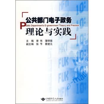 公共部门电子政务理论与实践
