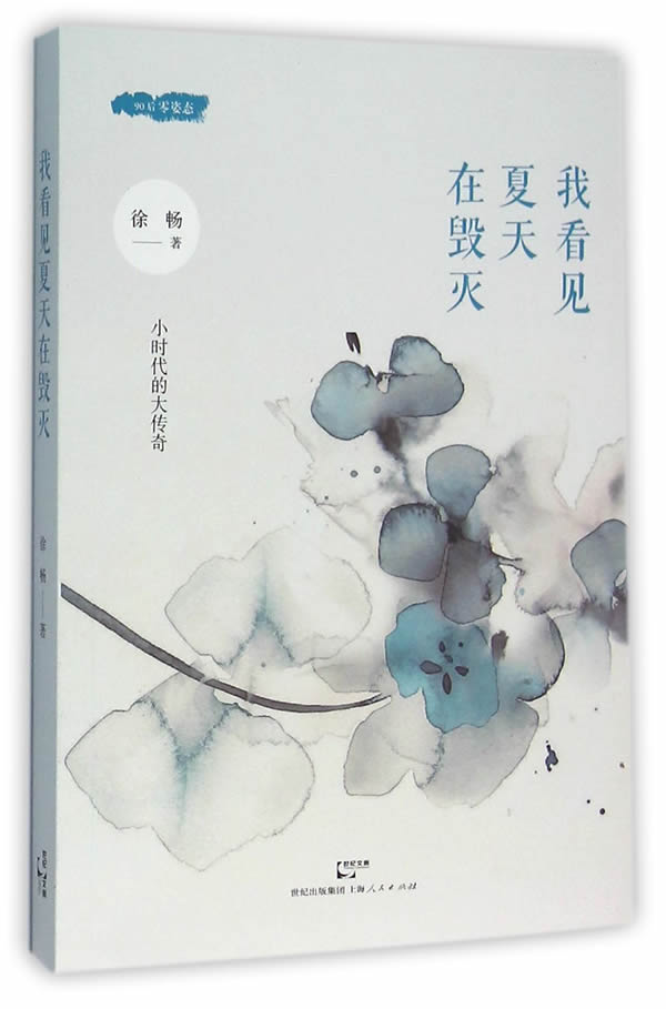 我看见夏天在毁灭 小说 书籍