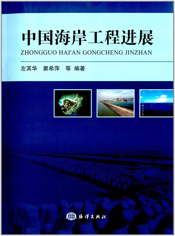 中国海岸工程进展 左其华等编著