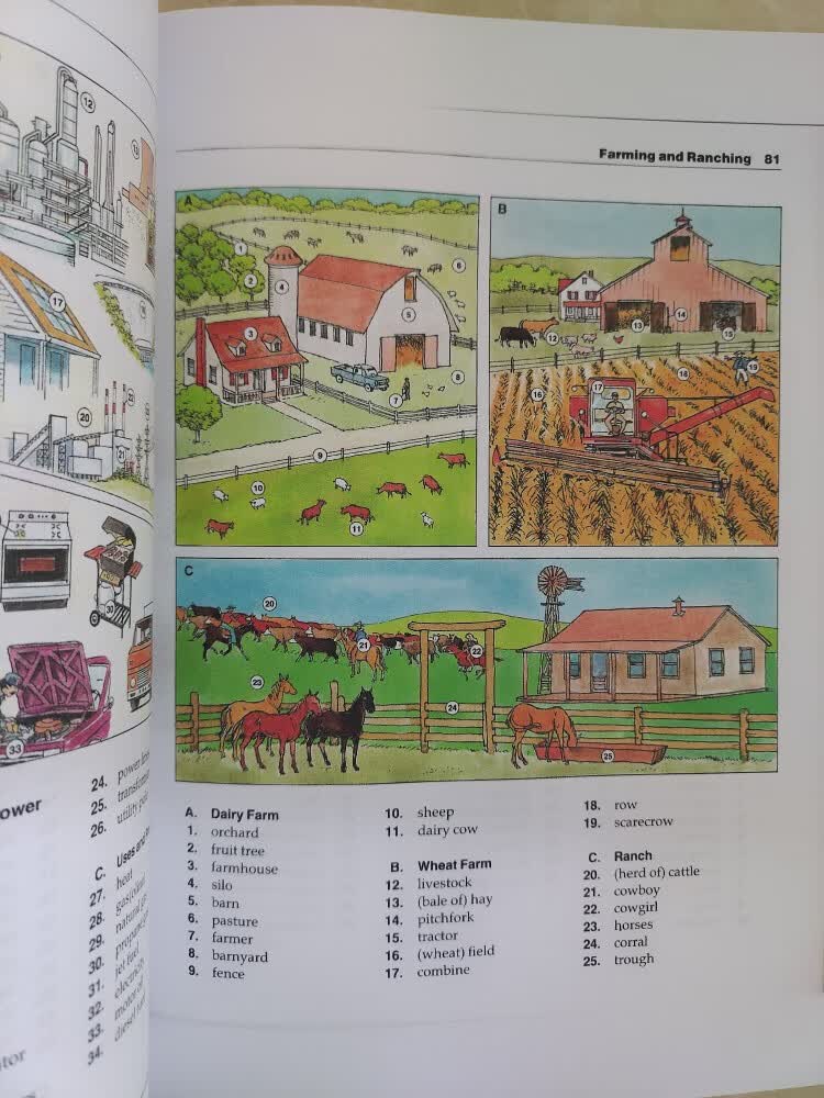 The new Oxford Picture Dictionary 牛津新图解词典 英语纸质书