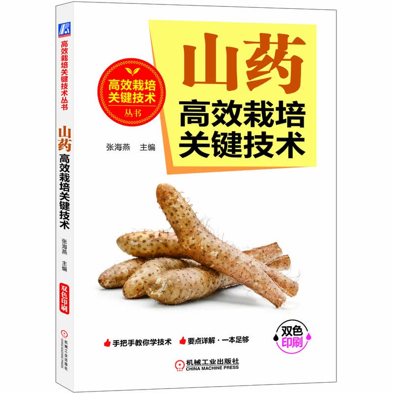 山药高效栽培关键技术