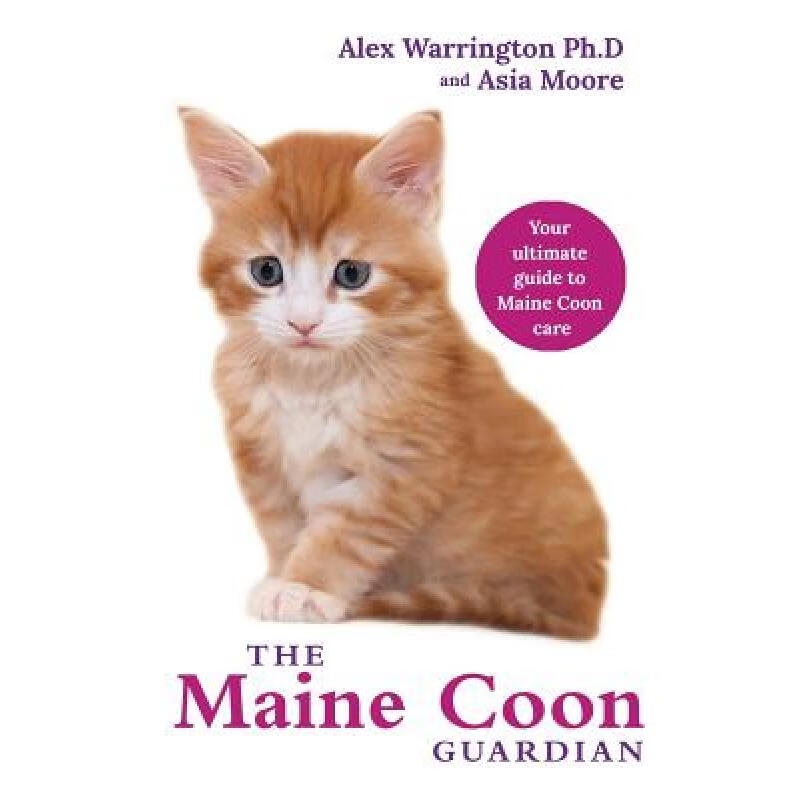 Maine Coon Cat: From bringing your kitten ho...