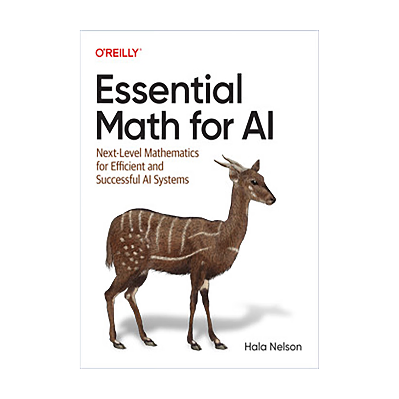 Essential Math for AI