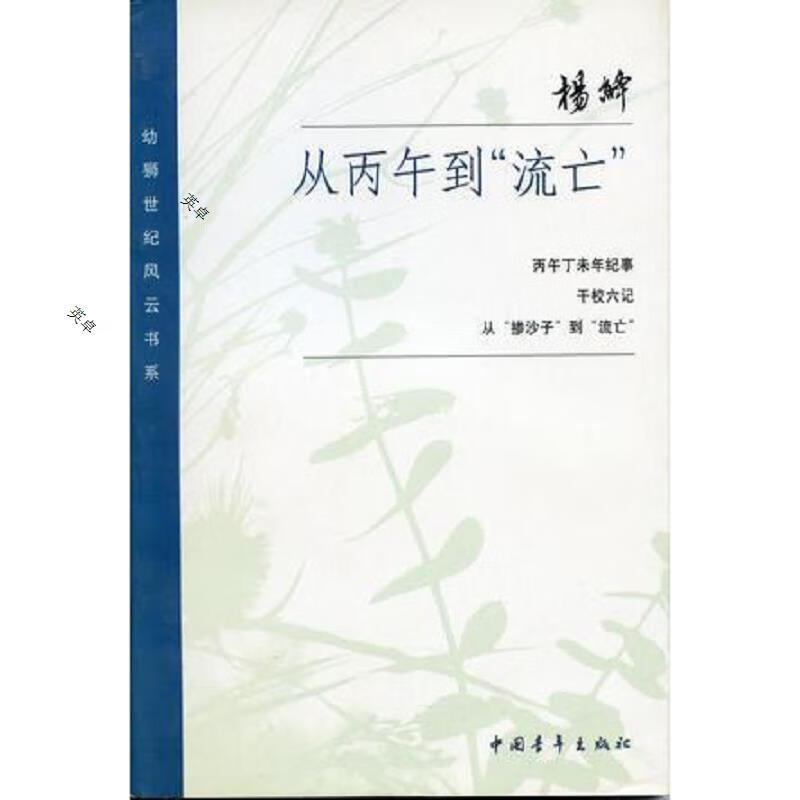 从丙午到“流亡”