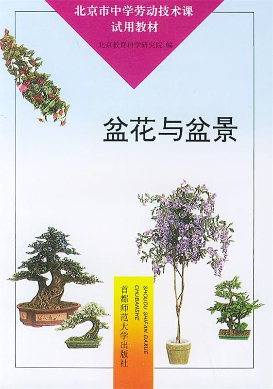 盆花与盆景
