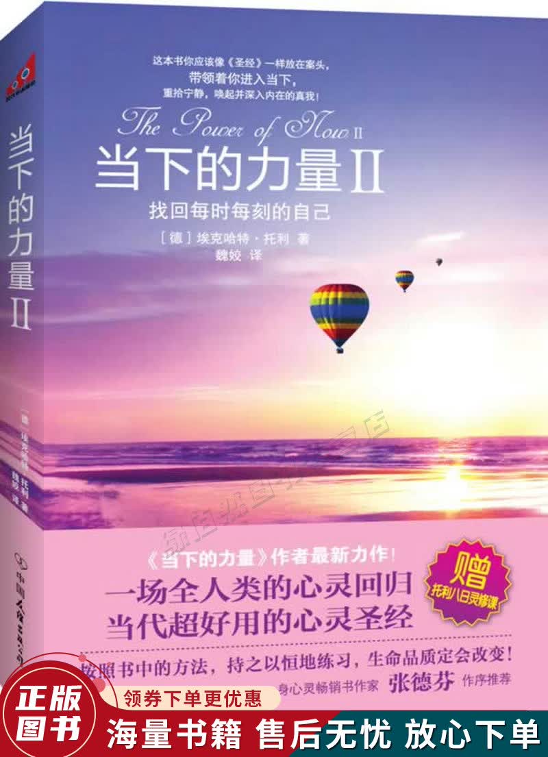 当下的力量Ⅱ：找回每时每刻的自己