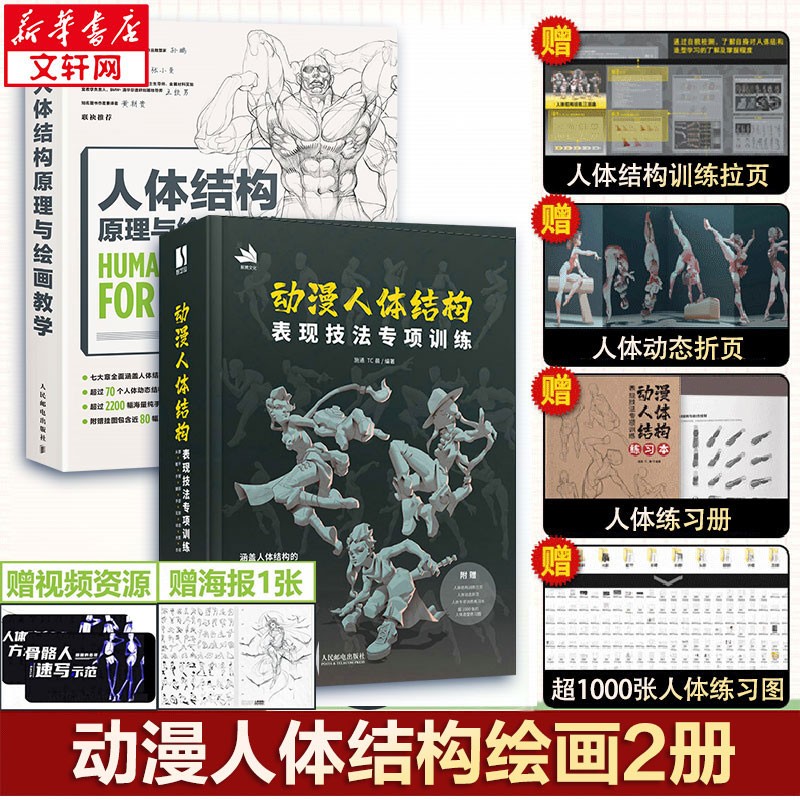 动漫人体结构表现技法专项训练 施通TC晨著 人体结构绘画教程游戏动漫人体结构 赠练习册+训练拉页+动态折页 人民邮电出版社 动漫人体结构表现技法专项训练+原理与绘画教学