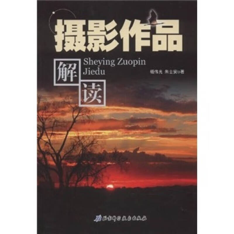 摄影作品解读【好书】