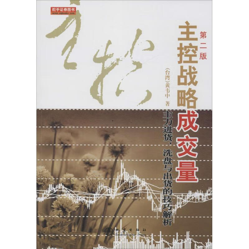主控战略成交量 黄韦中 著 地震出版社