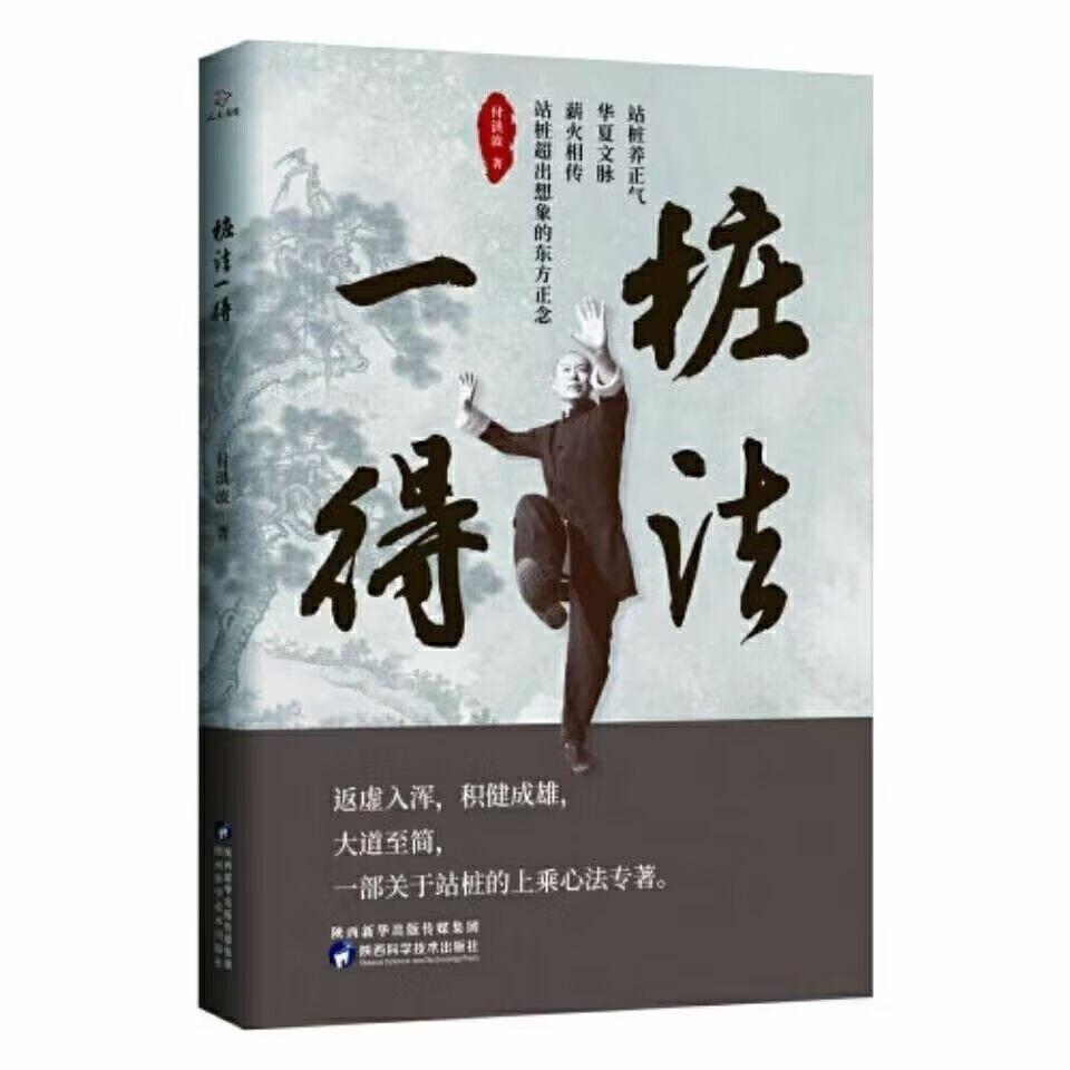 桩法一得 付洪波 著