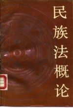 民族法概论 王天玺