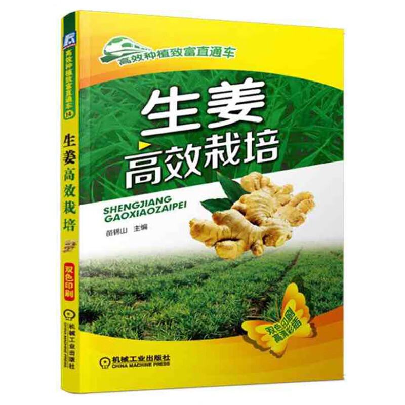 生姜高效栽培 高效种植致富直通车 无公害出口栽培技术 有机栽培 生姜主要病虫草害诊断与防治技术书籍实例