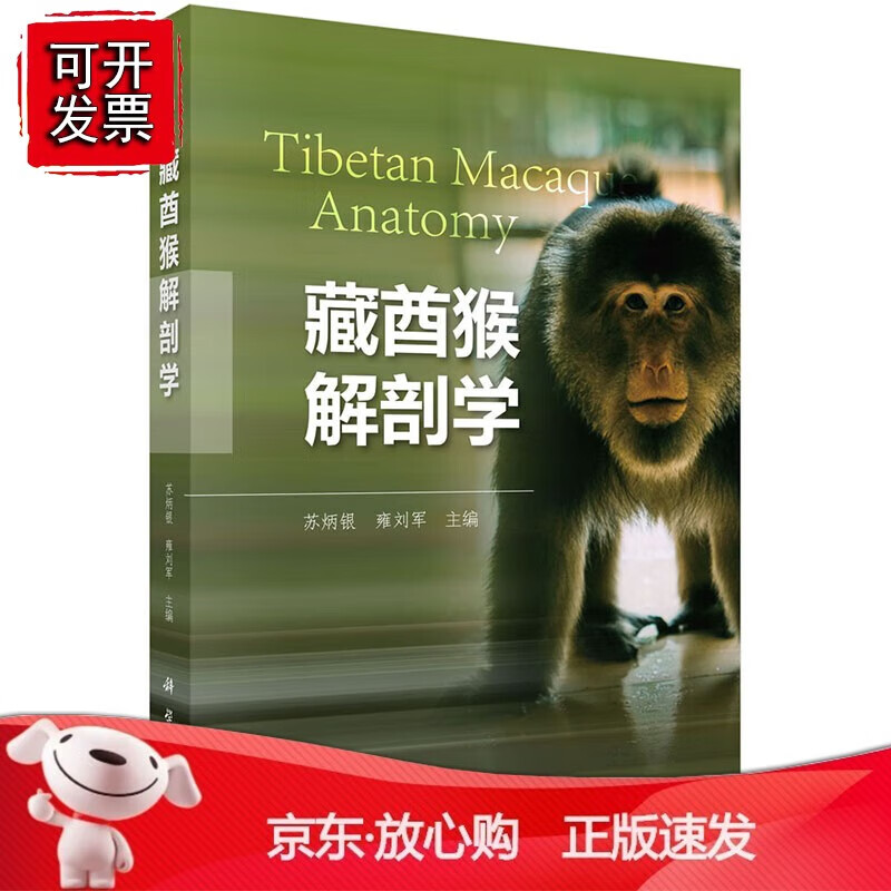 藏酋猴解剖学