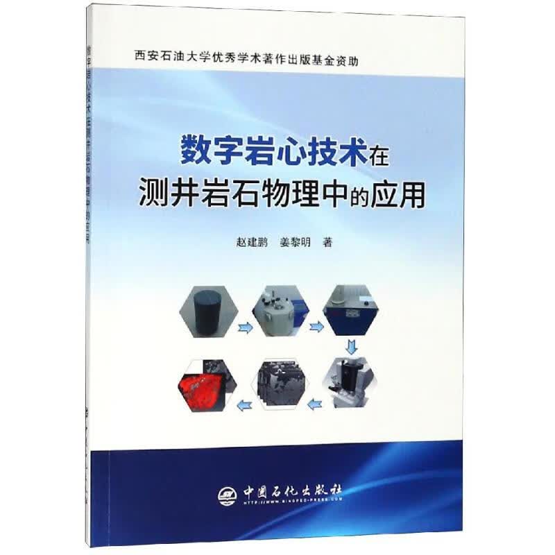 数字岩心技术在测井岩石物理中的应用