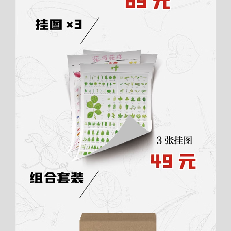 绘认植物第一课 中国林业出版社 挂图 2236