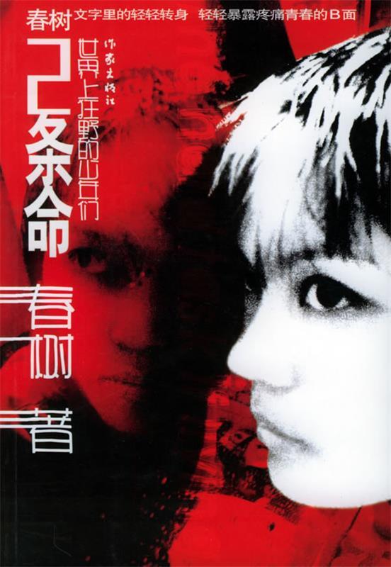 2条命:世界上狂野的少年们 春树 著