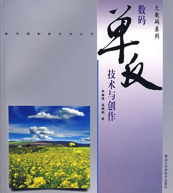 数码单反技术与创作 李继强,高福刚 著 黑龙江科学技术出版社