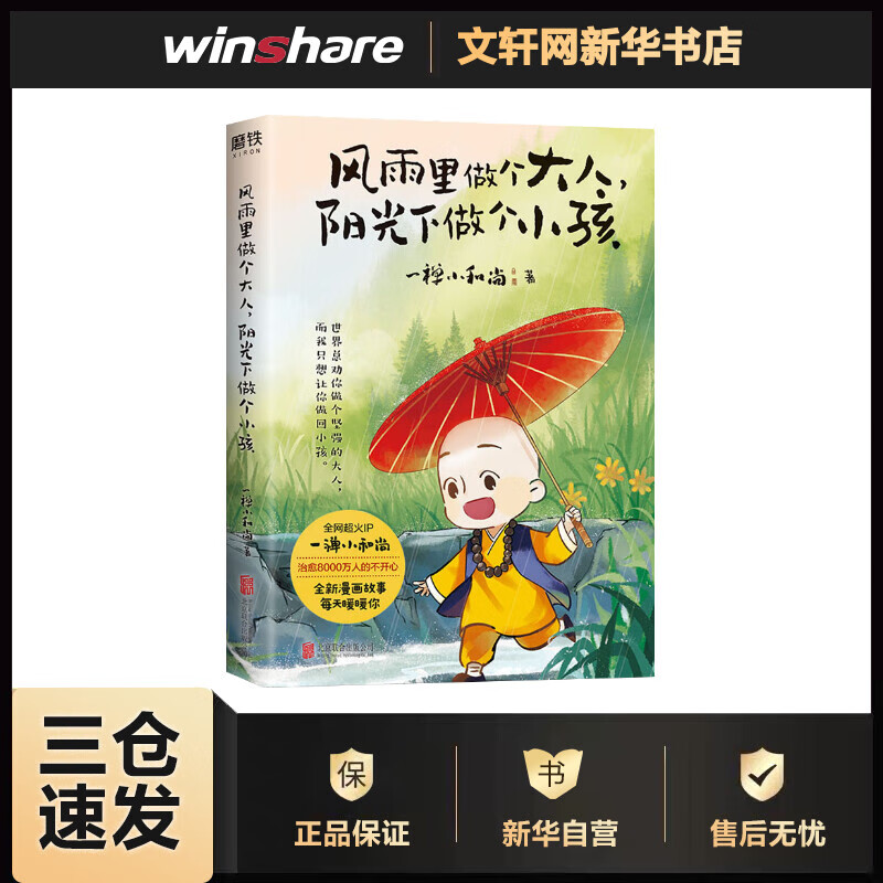风雨里做个大人,阳光下做个小孩 一禅小和尚  书籍