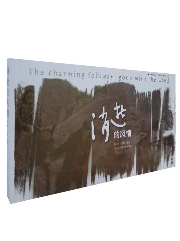 消逝的风情 胡湧 著