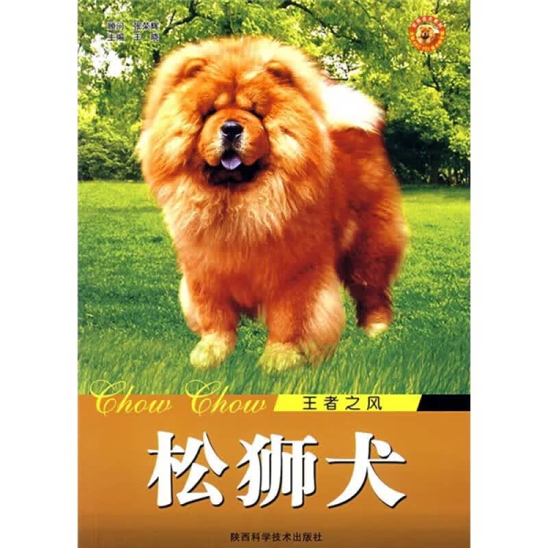 松狮犬 王者之风【好书】