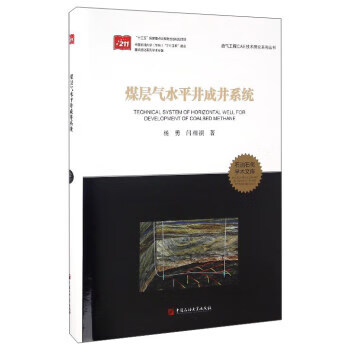 煤层气水平井成井系统 杨勇,闫相祯 著