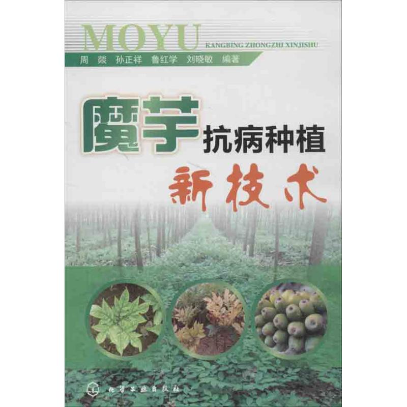 魔芋抗病种植新技术 周燚 等 著 种植业