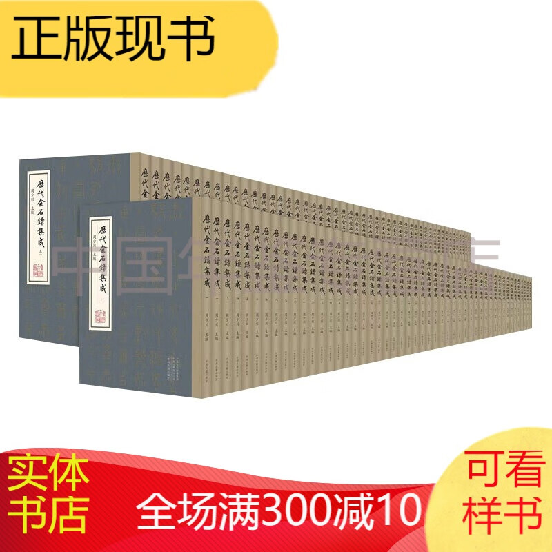 历代金石录集成 第一辑 全99册
