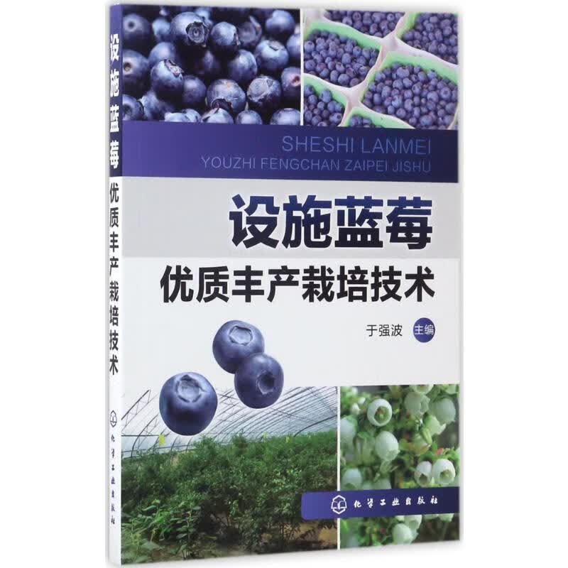 设施蓝莓优质丰产栽培技术 于强波 主编 书籍