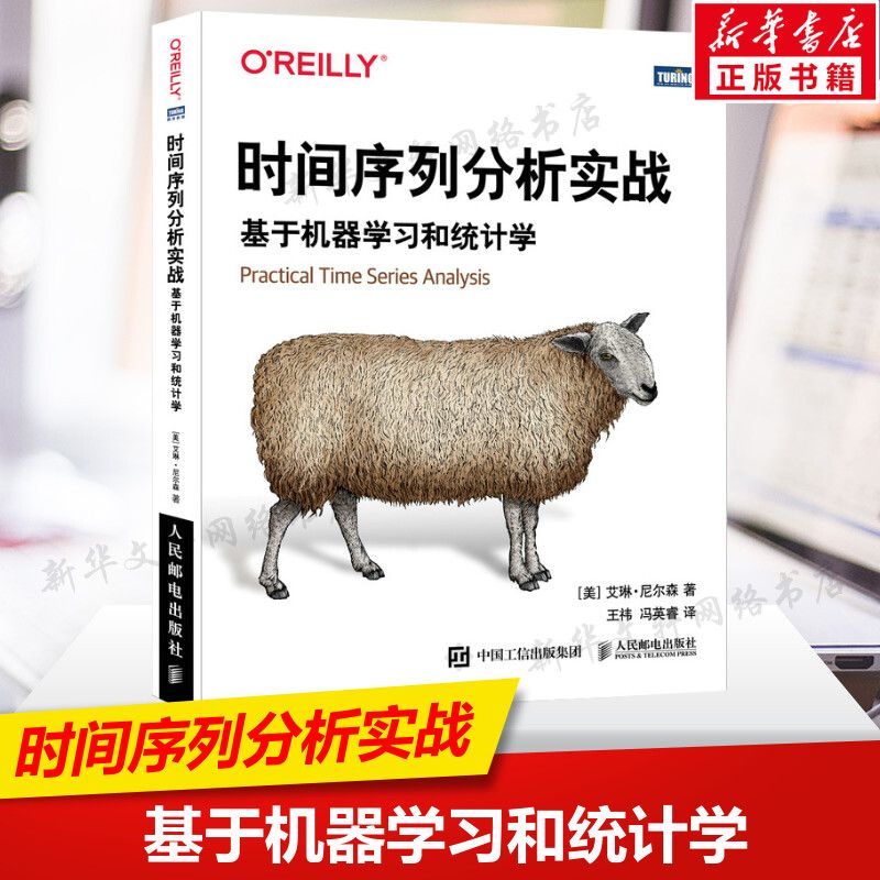 时间序列分析实战 基于机器学习和统计学 艾琳·尼尔森 数据分析python数据集预测模型深度学习机器