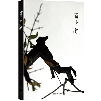 蜀中记 王飞
