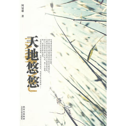 天地悠悠【精选】