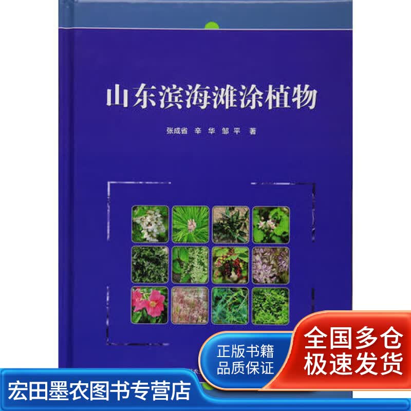 山东滨海滩涂植物【好书】