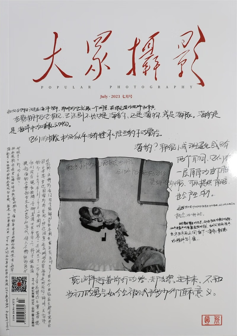 大众摄影 2023年7月号 摄影技术 旅行摄影 摄影学习 摄影摄像 传播影像文化 视觉期刊