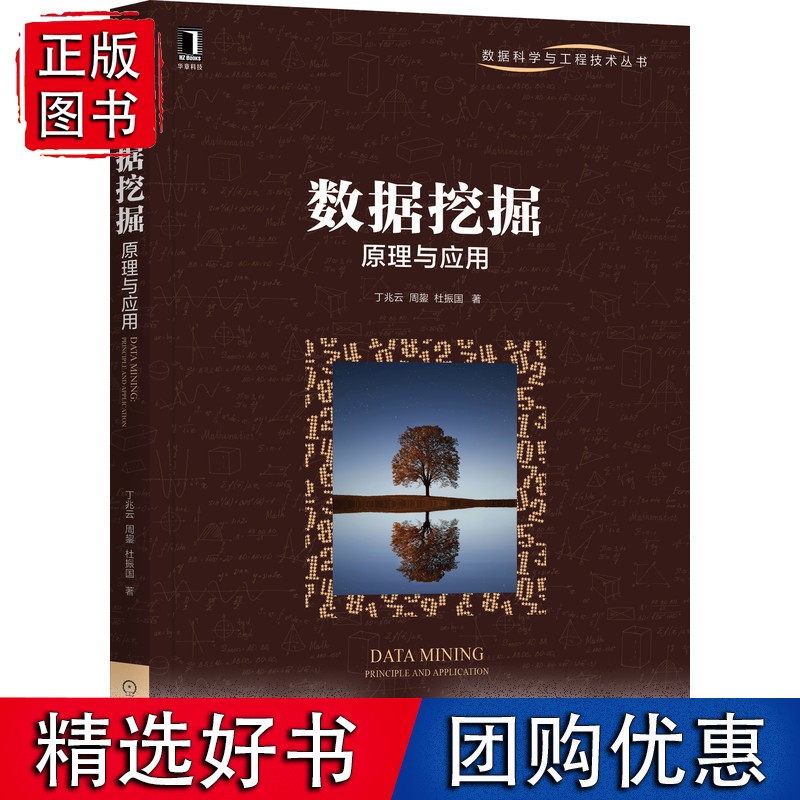 数据挖掘：原理与应用