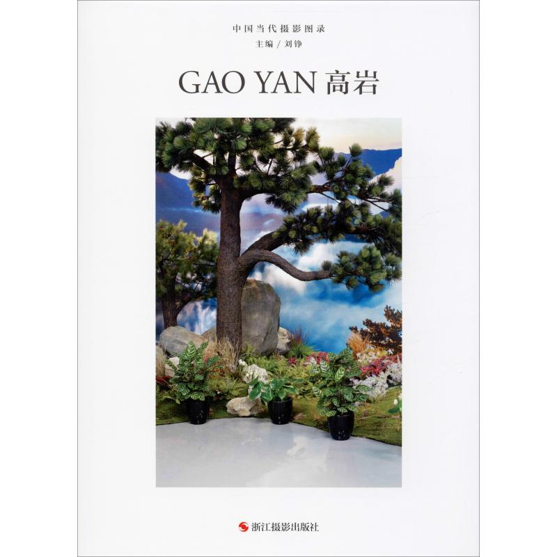 中国当代摄影图录 高岩