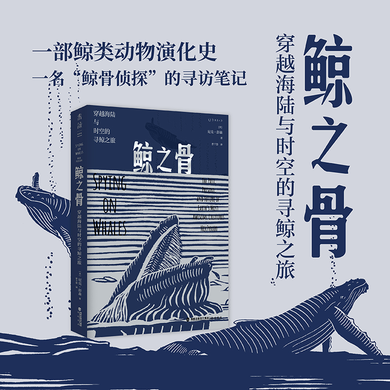 鲸之骨(穿越海陆与时空的寻鲸之旅)